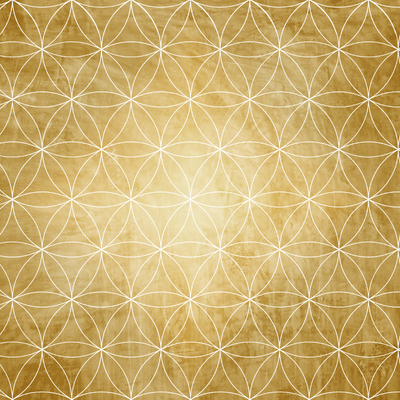 A simple Guide to Understanding Universal Light Codes + Their Meanings ...