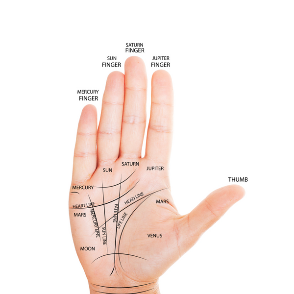 The Ultimate Guide to Palmistry: Understanding Palm Reading + Crystal ...