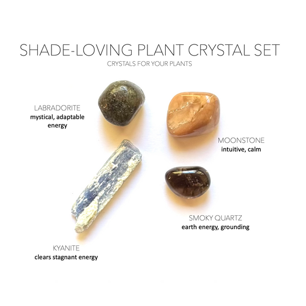 SHADE-LOVING PLANT CRYSTAL SET- Crystals for Plants Rox Box - Crystal Grids